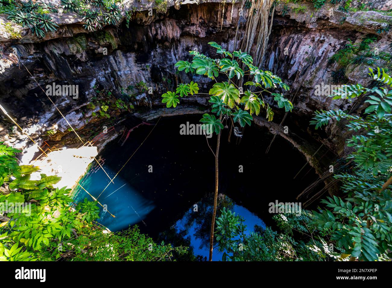 Cenote Oxman, Valladolid, Yucatan, Mexico Stock Photo - Alamy