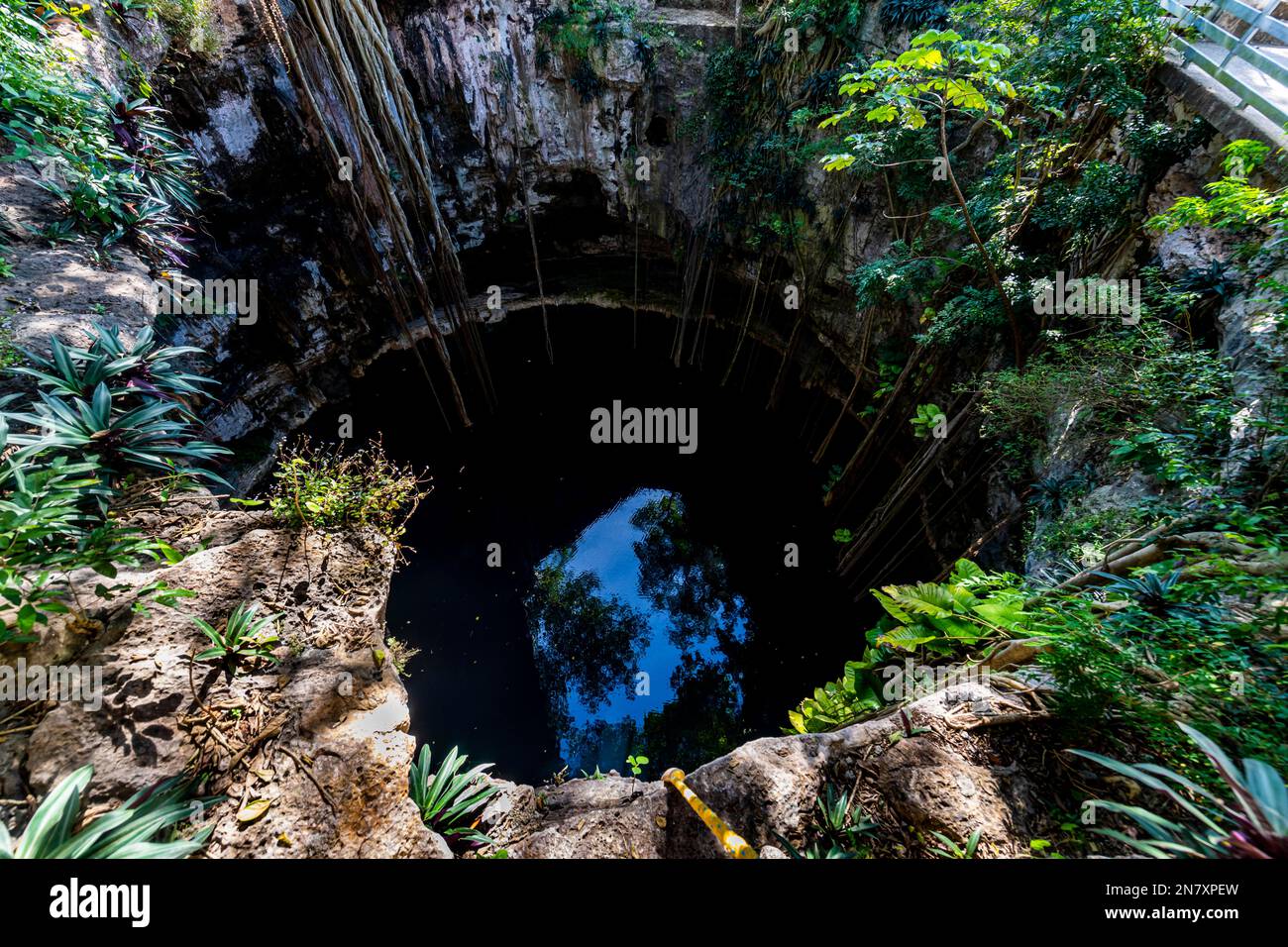 Cenote Oxman, Valladolid, Yucatan, Mexico Stock Photo - Alamy