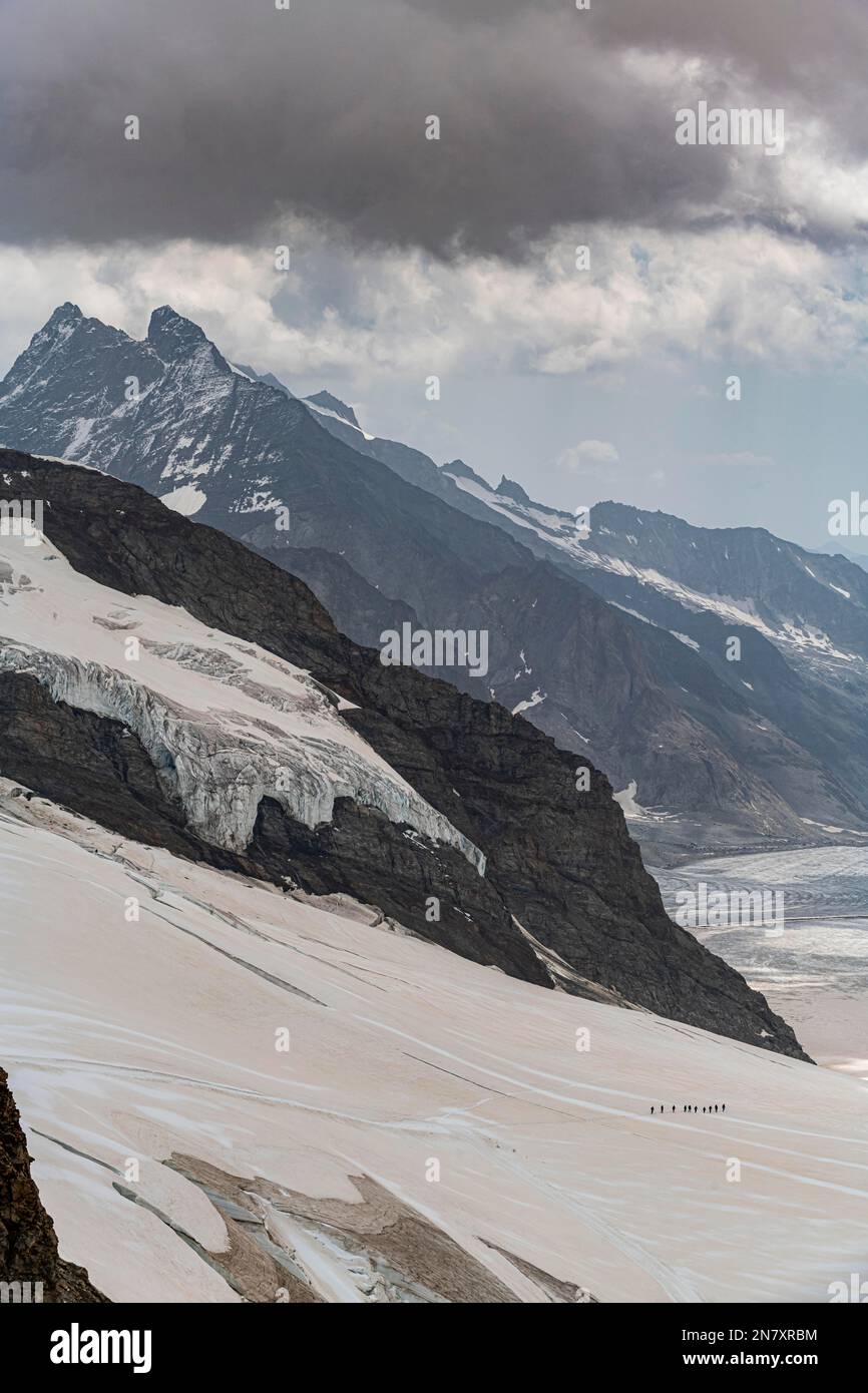 Overlook over the Aletsch Glacier from the Jungfraujoch, Bernese Alps ...