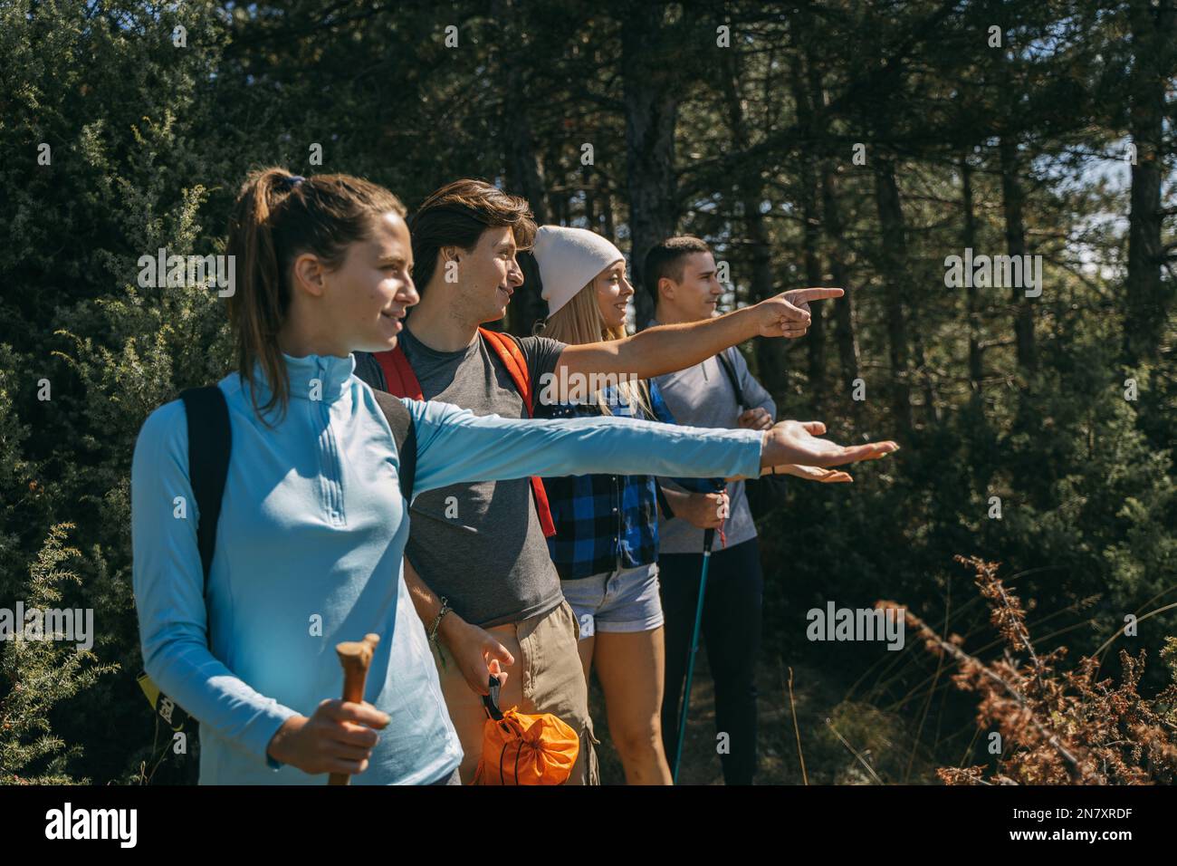 Group of hikers pointing at something while standing at the forest ...