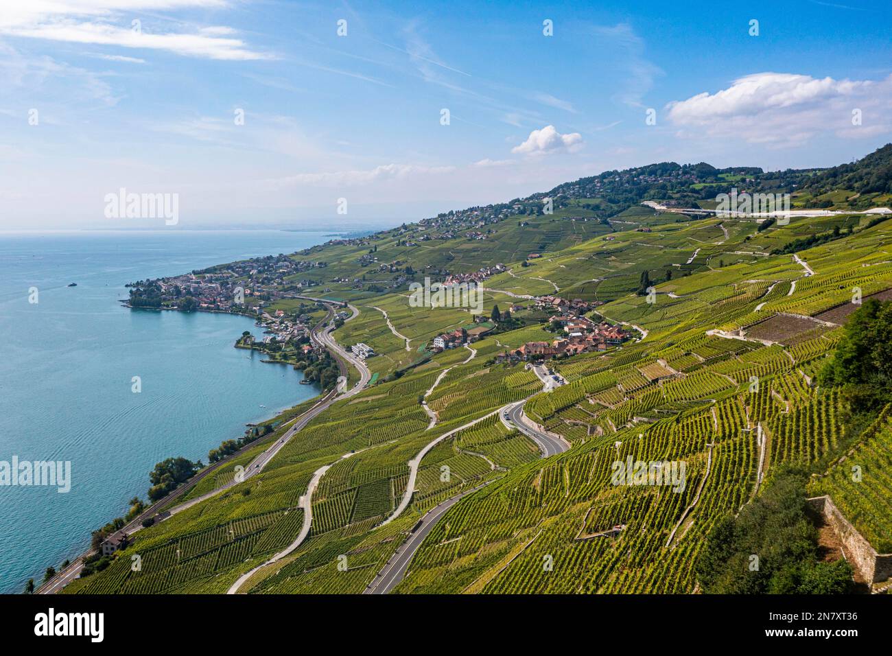 Aerial of the Unesco site Lavaux vineyard terraces, Lake Geneva ...