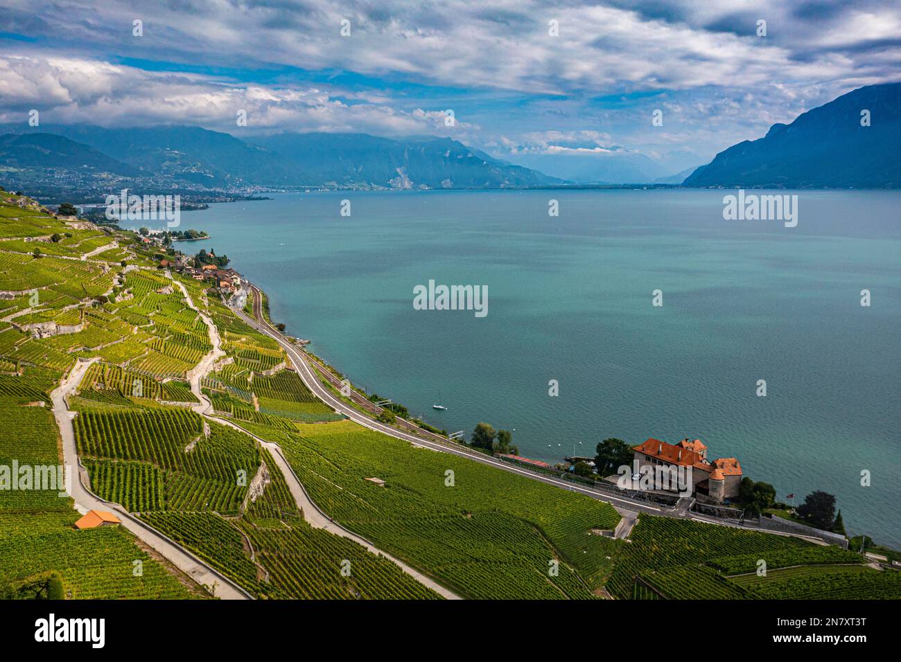 Aerial of the Unesco site Lavaux vineyard terraces, Lake Geneva ...