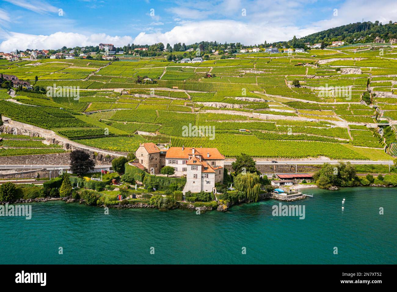 Aerial of the Unesco site Lavaux vineyard terraces, Lake Geneva ...