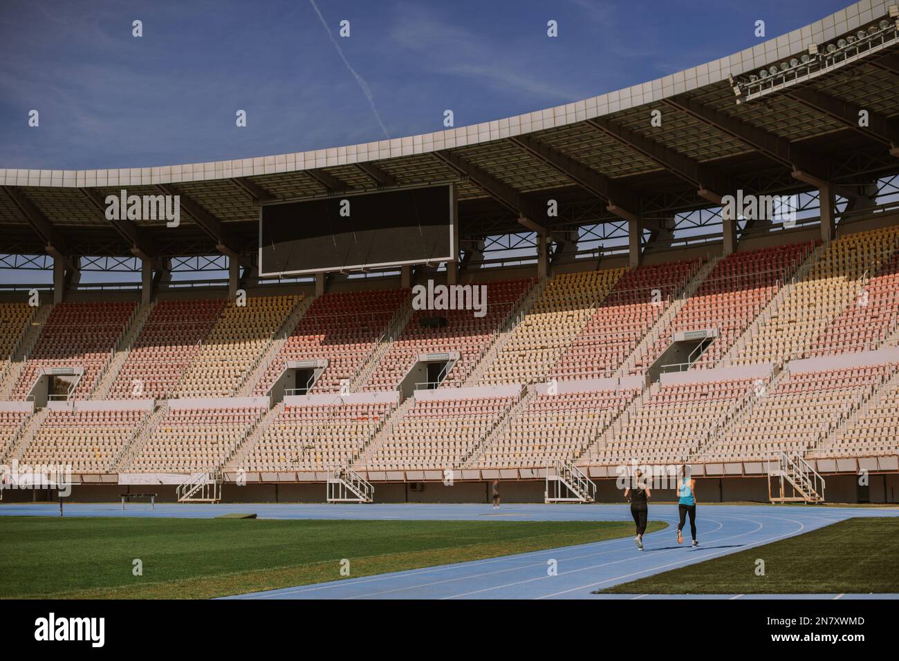 Female sportspeople are running around the stadium, on a beautiful ...