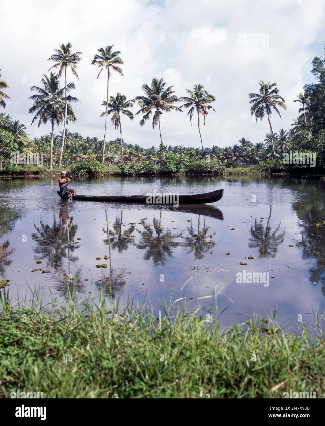 Back waters of Kerala, India, Asia Stock Photo - Alamy