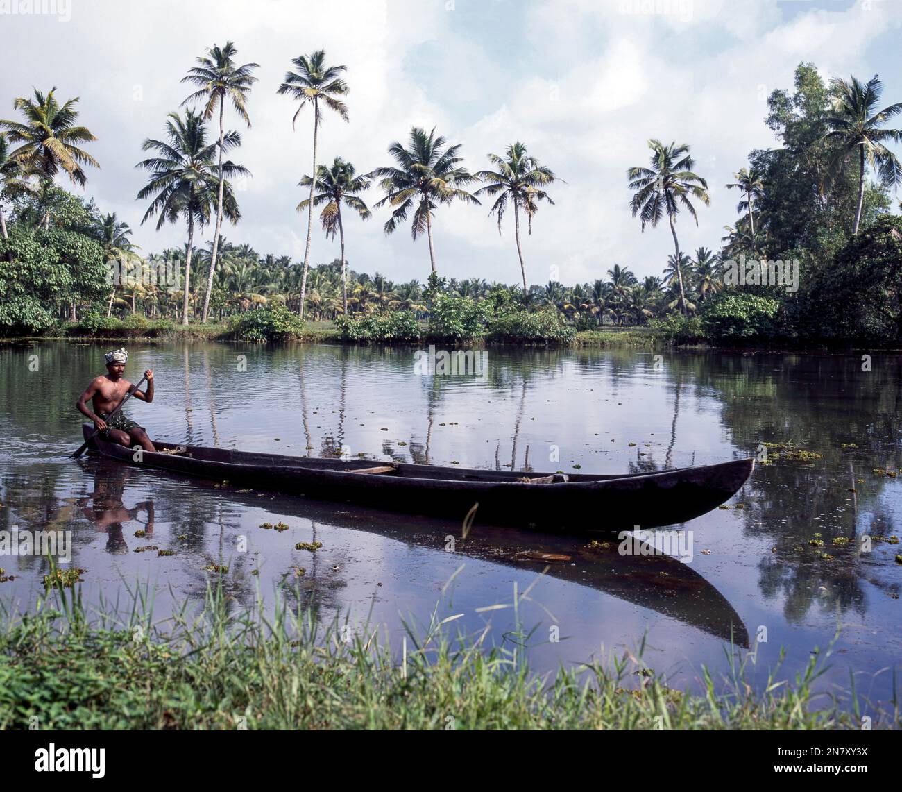 Back waters of Kerala, India, Asia Stock Photo - Alamy