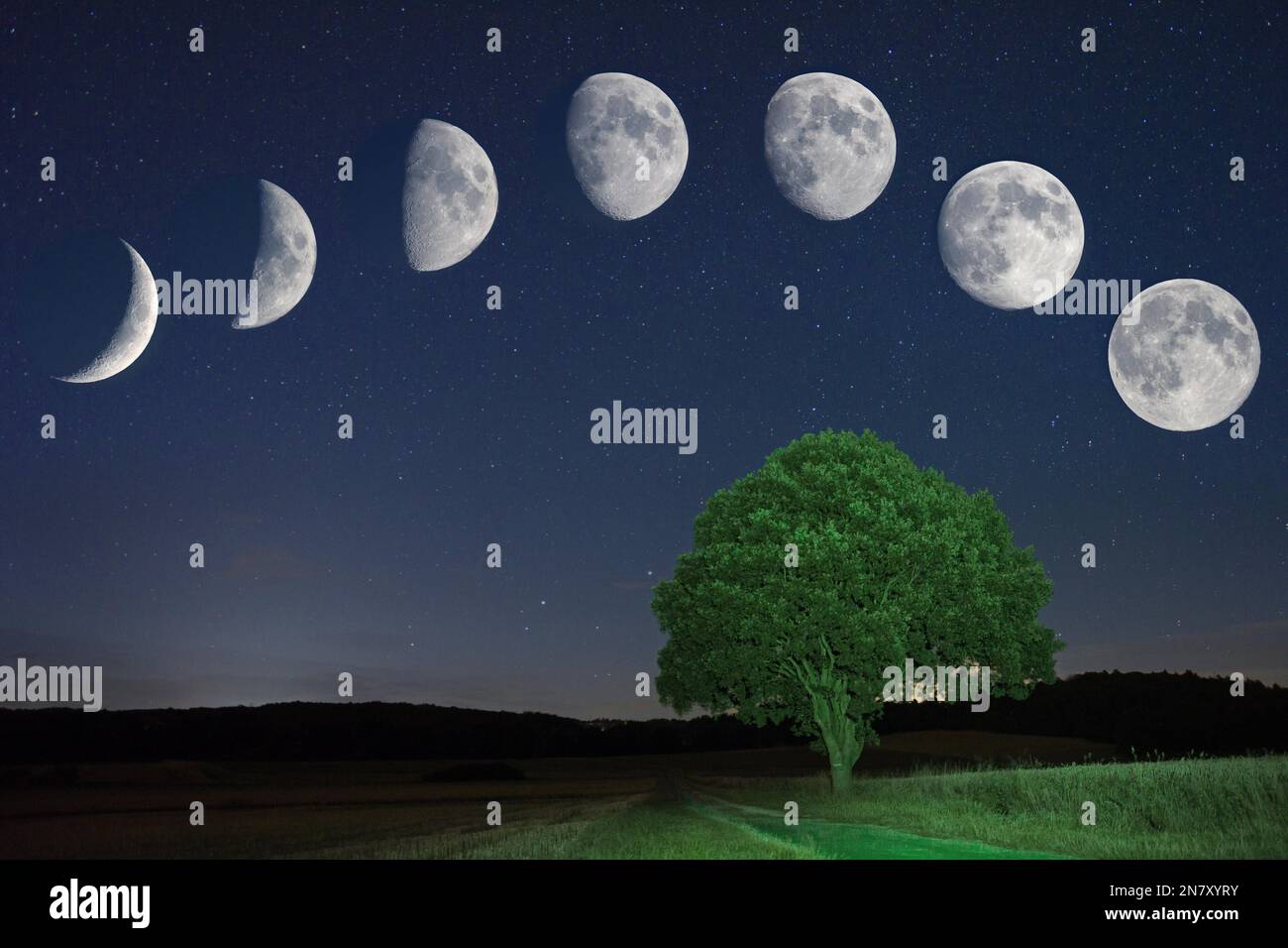 lunar-cycle-with-oak-quercus-waxing-moon-29-may-to-08-june-2017