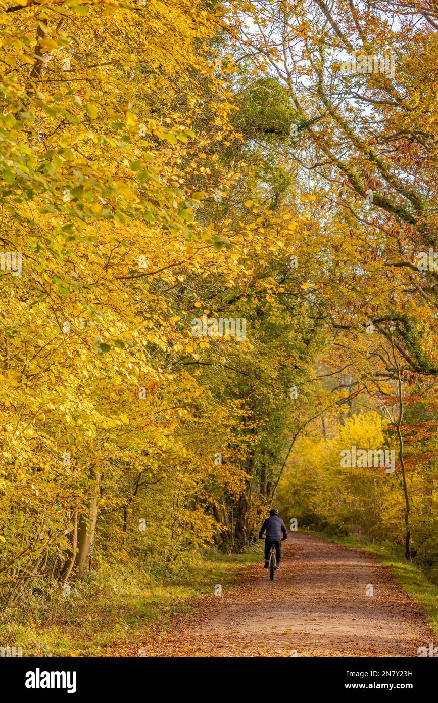 The worth way sussex hi-res stock photography and images - Alamy