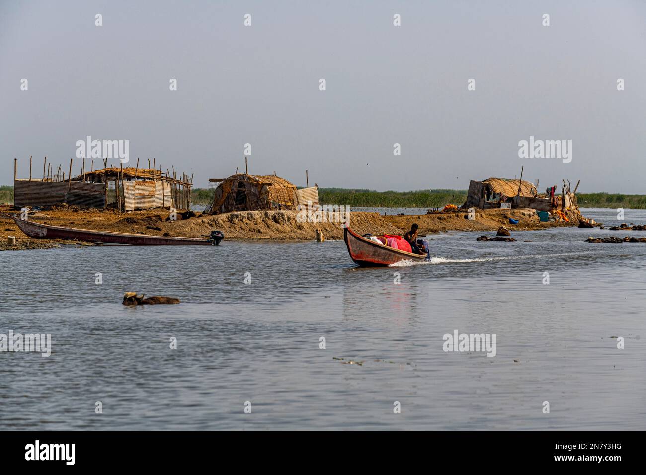 Reed house of Marsh Arabs, Mesopotamian Marshes, Ahwar of southern Iraq ...