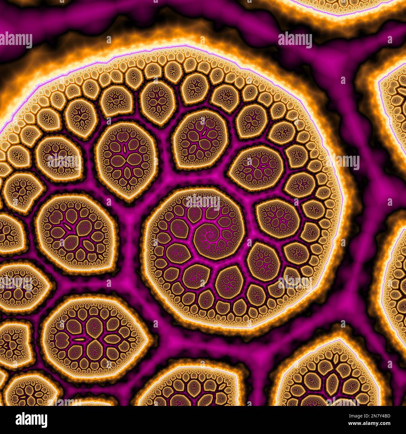 Fractal complex zoom - Mandelbrot set detail, digital artwork for ...