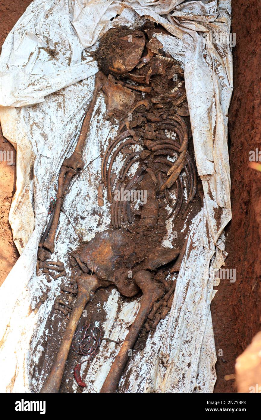 An open grave with skeletal remains during the exhumation at Avalon ...