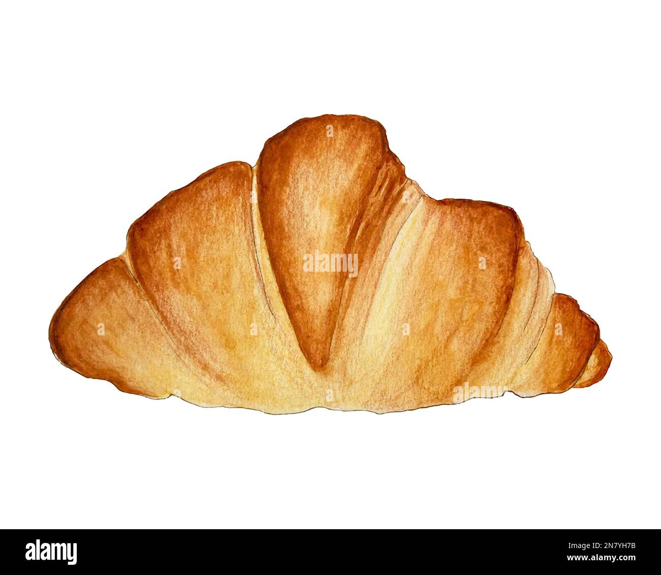 Croissant watercolor, hand drawn sketch. Vector illustration Stock ...