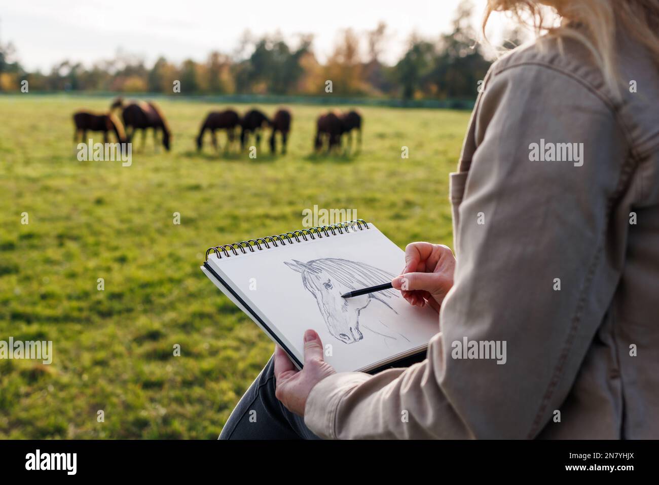 Pencil drawing. Woman artist sketching horse outdoors. Illustrator ...