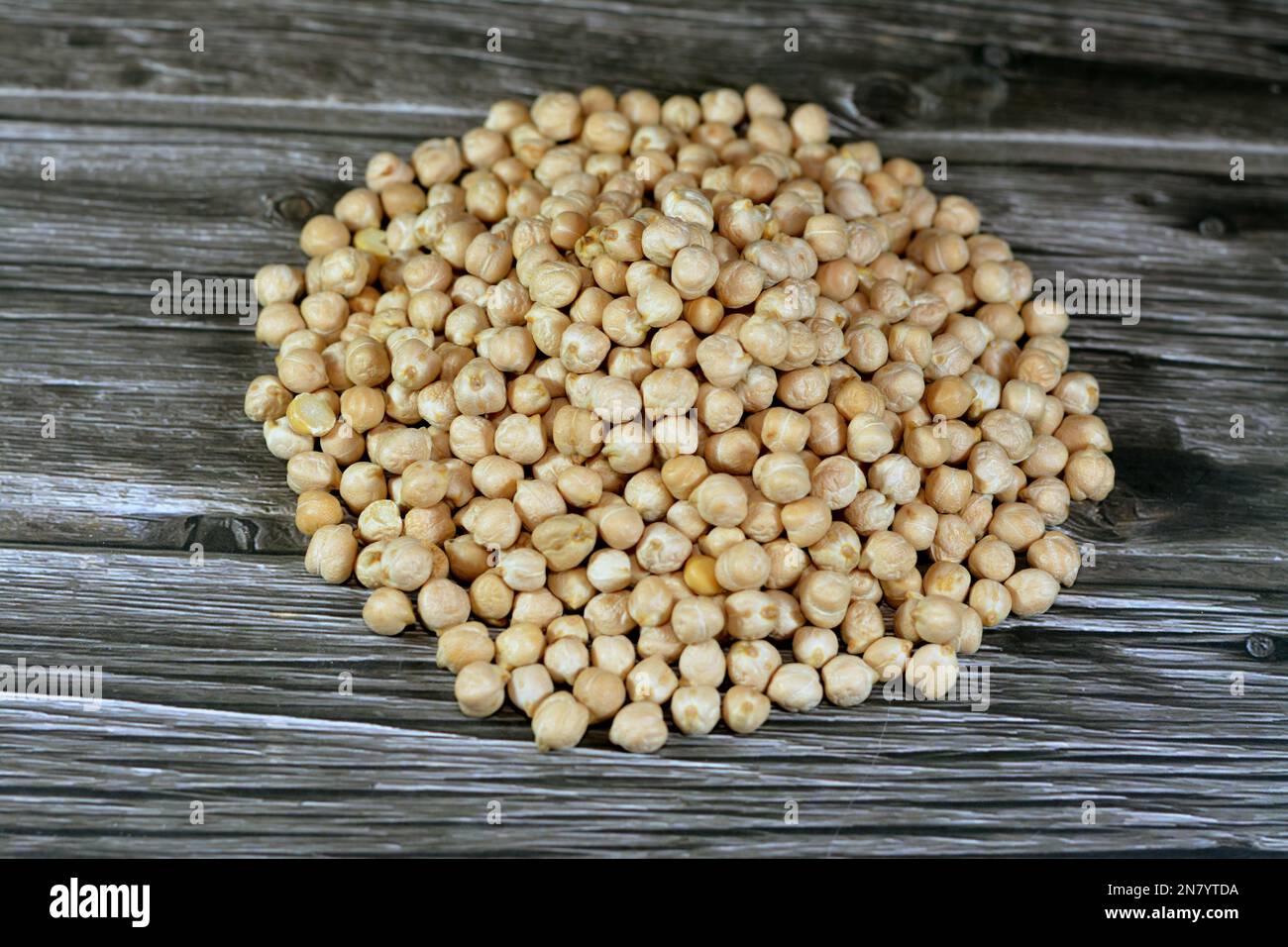 The chickpea or chick pea (Cicer arietinum), an annual legume of the ...