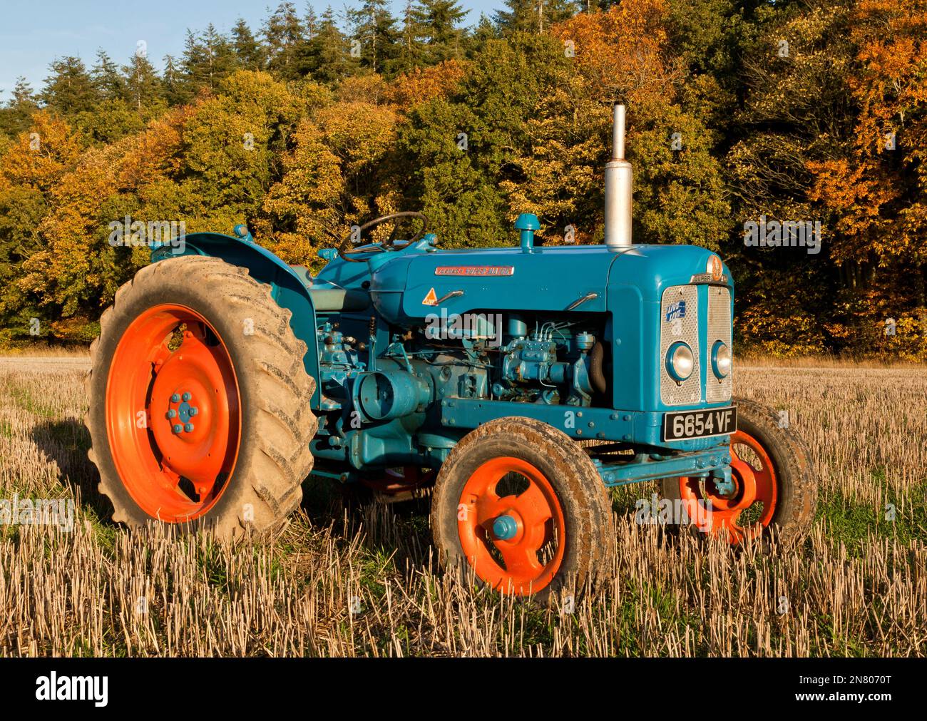Fordson Super Major with Autumn coloured trees in the background Stock ...