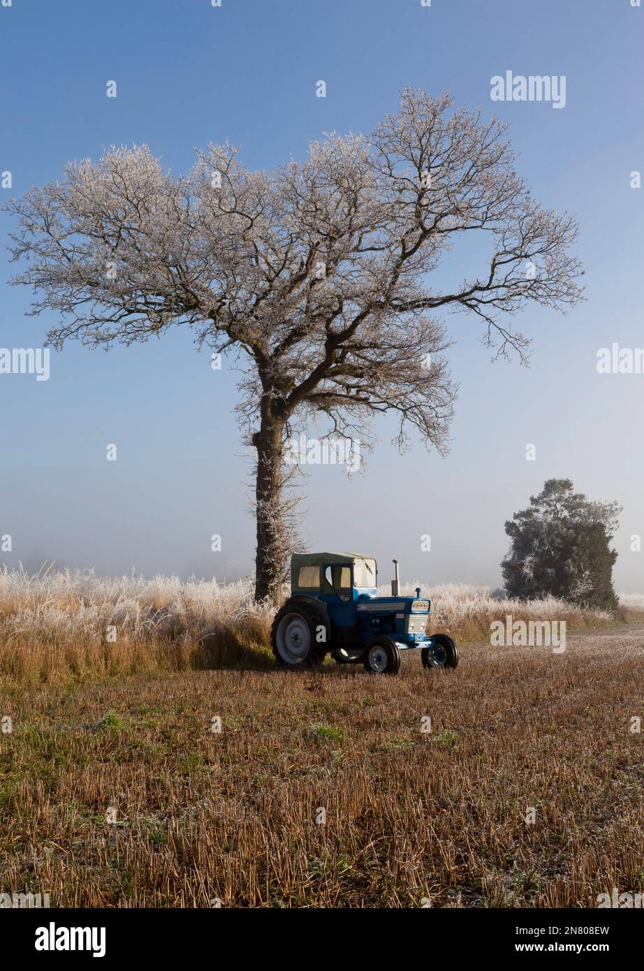 Ford 4000 Pre-Force 1966 Vintage tractor in a frosty landscape Stock ...