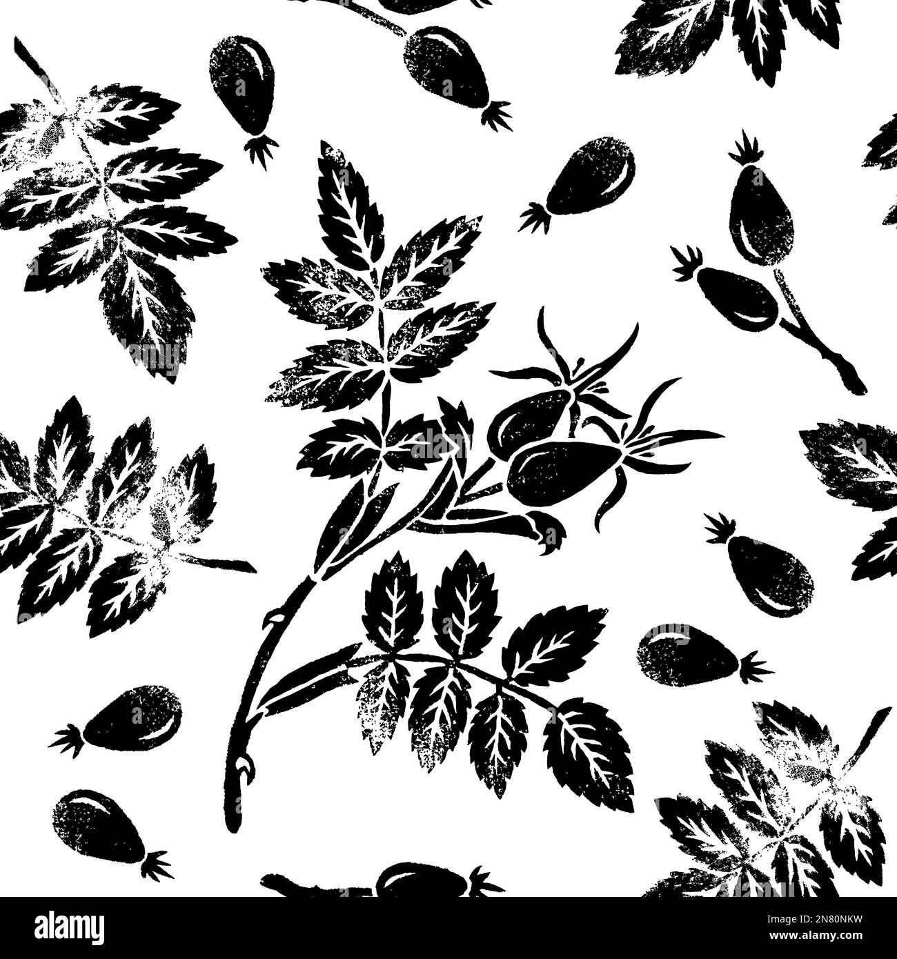 Rosa canina Seamless pattern. Rosehip fruit, leaves, branch. Hand drawn botanical illustration ...
