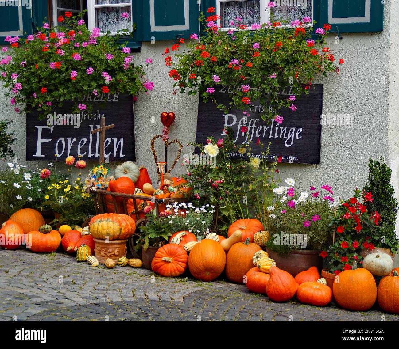 lots of Halloween pumpkins in front of a beautiful restaurant with ...