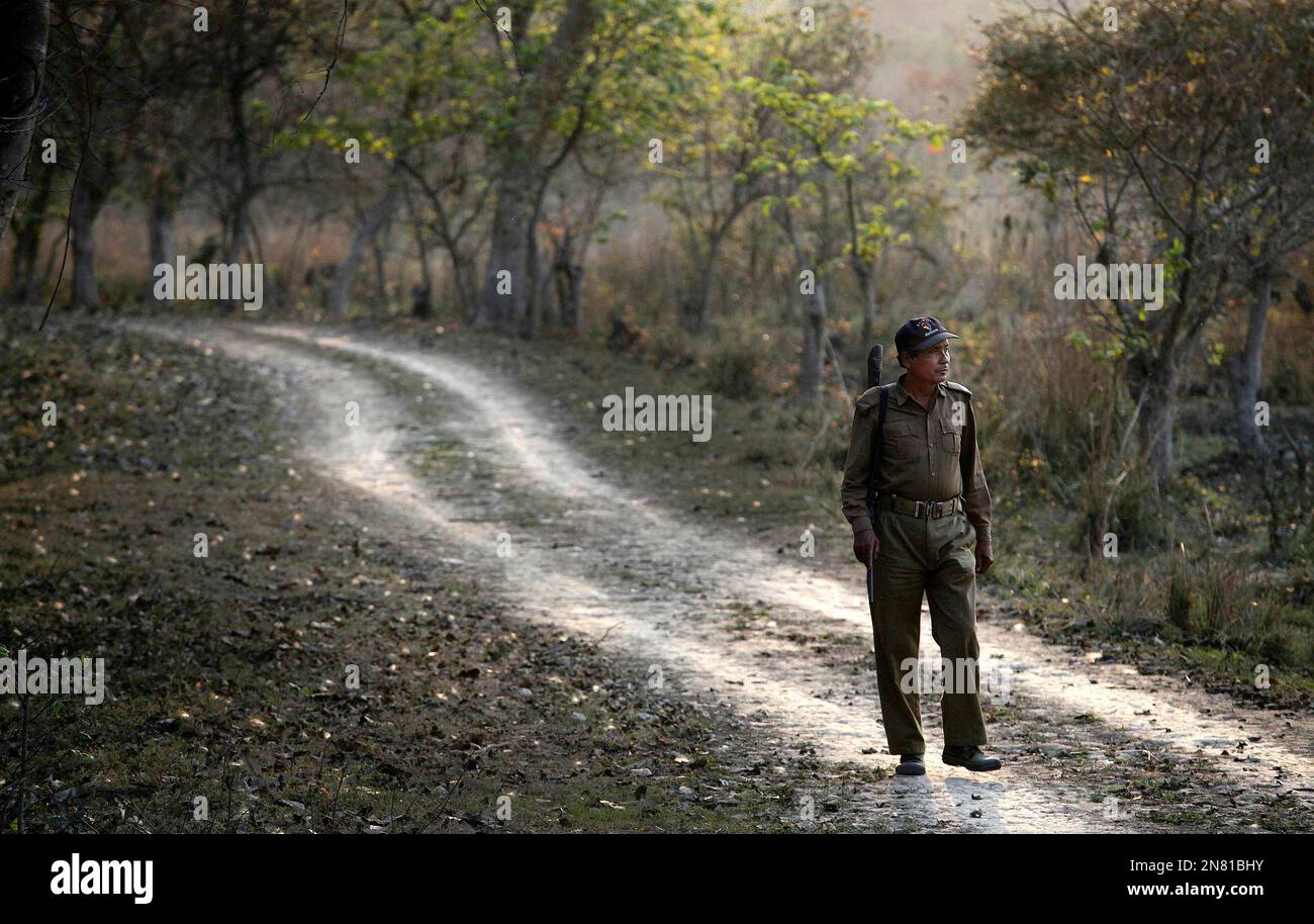 An Indian forest guard patrols inside the Pobitora Wildlife Sanctuary ...