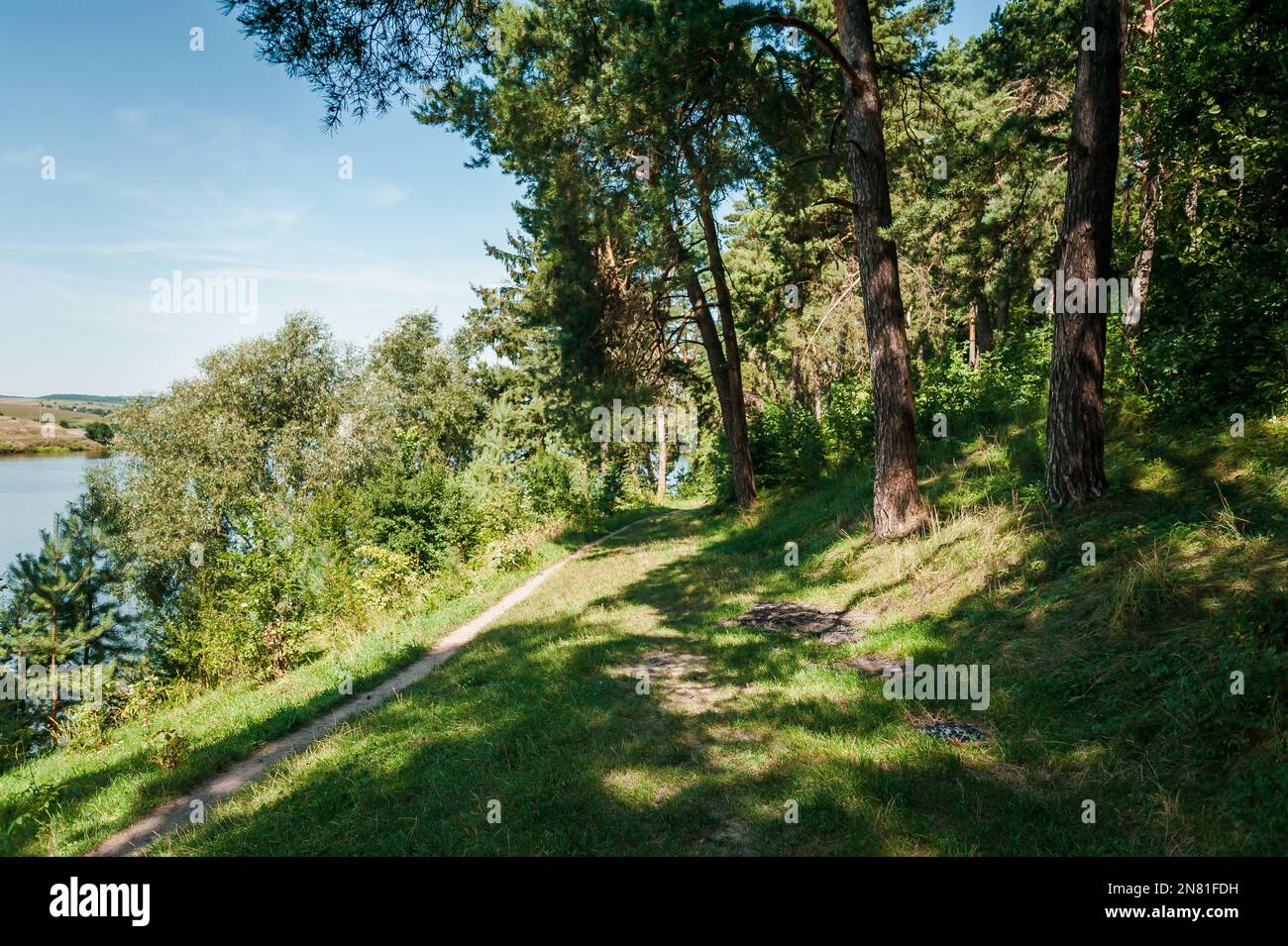 Path in the forest near the river Stock Photo - Alamy