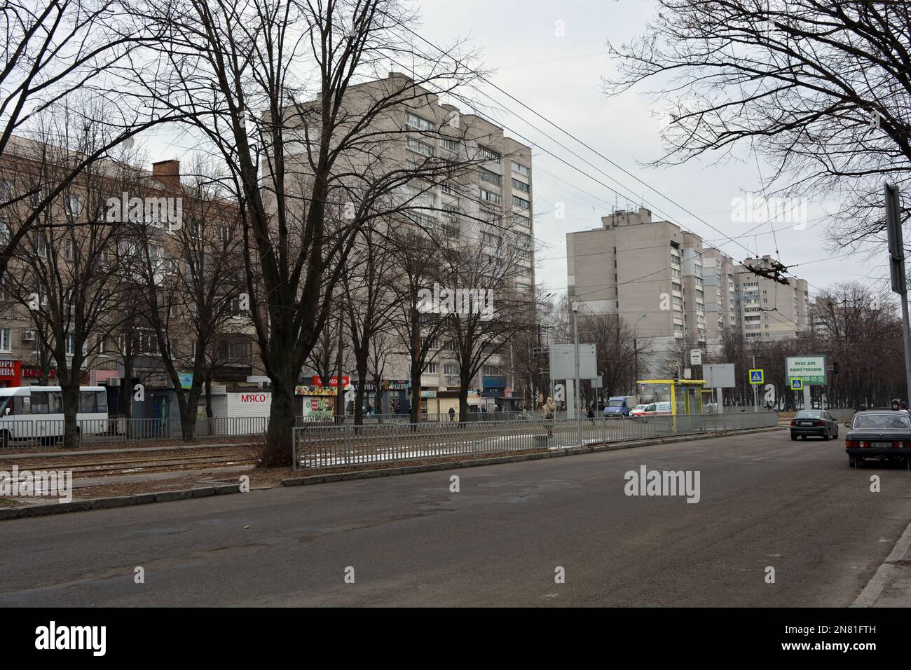 Wide road, parks, yards with cars, people, trees, Christmas trees, big ...