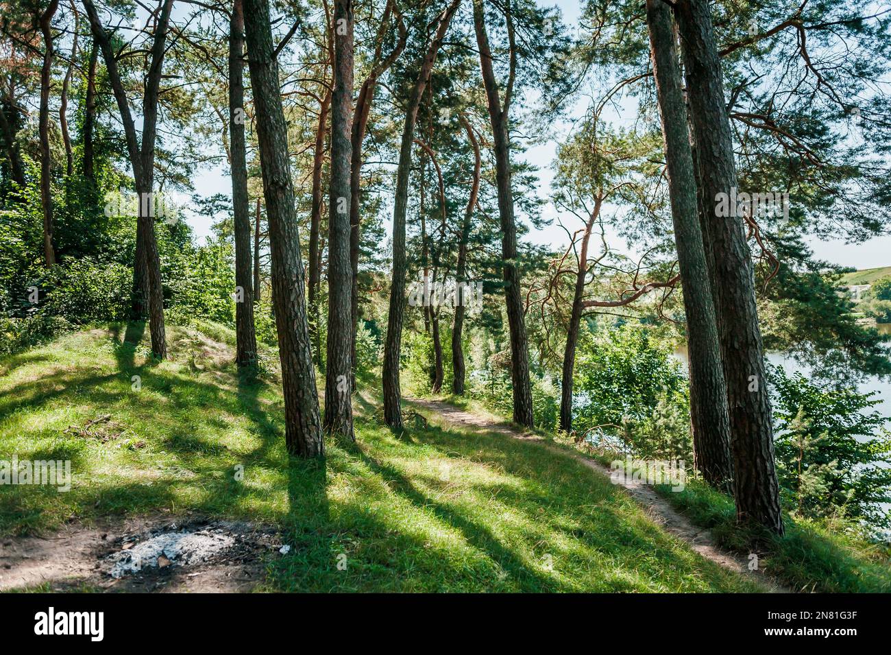 Path in the forest near the river Stock Photo - Alamy