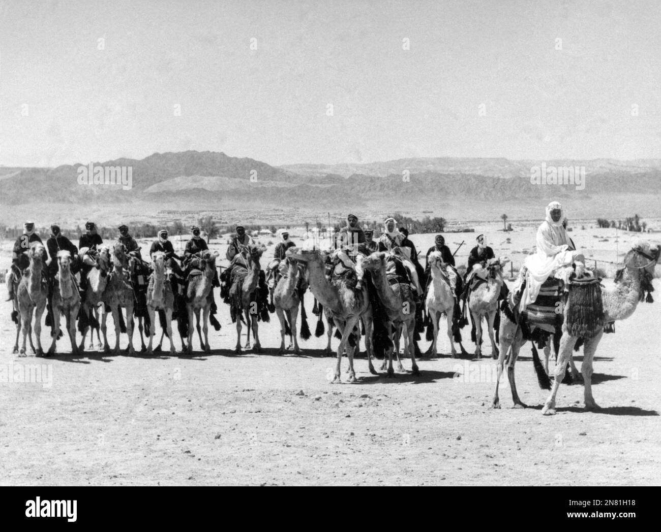 Wearing Arab robes and headdress and riding a camel, Irish actor Peter ...