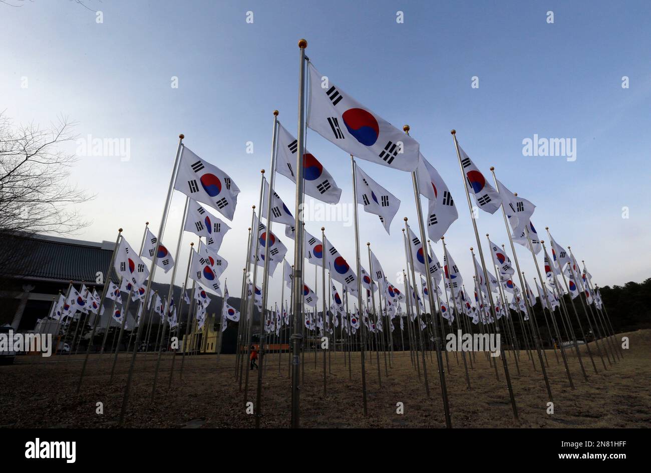 A boy walks through South Korean flags displayed to celebrate the March ...