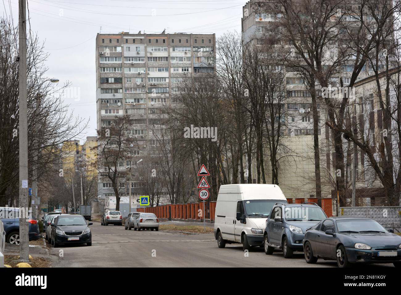 Wide road, parks, yards with cars, people, trees, Christmas trees, big ...