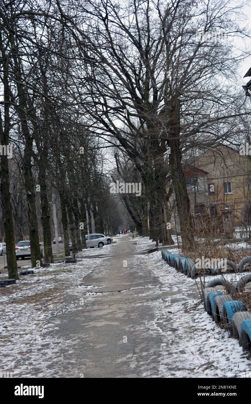 Wide road, parks, yards with cars, people, trees, Christmas trees, big ...