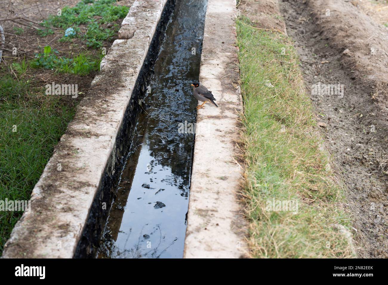 Water canal for crop field irrigation system in the village Stock Photo ...