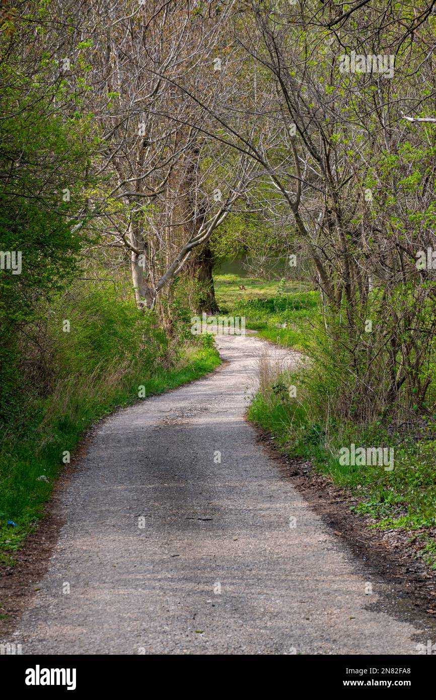 Pathway through the nature in april, sunny spring afternoon Stock Photo ...