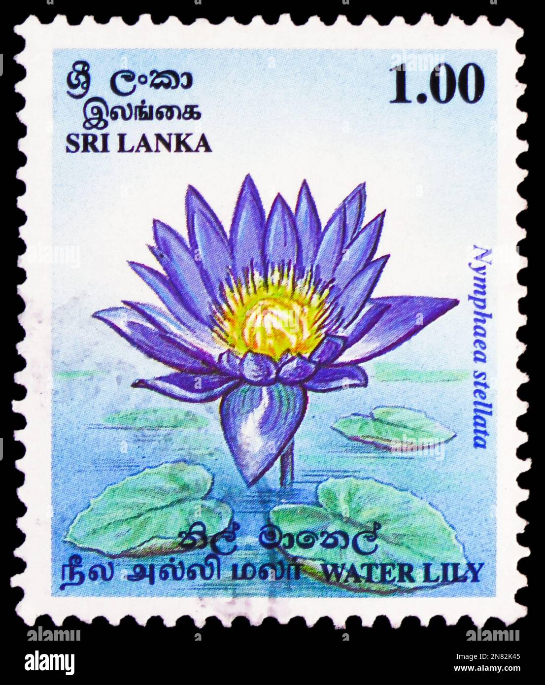 MOSCOW, RUSSIA - FEBRUARY 4, 2023: Postage stamp printed in Sri Lanka ...