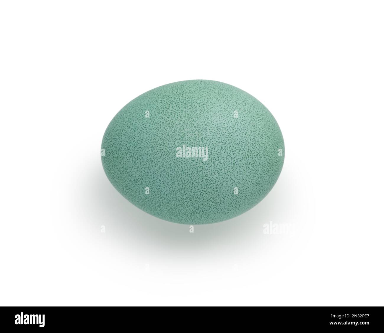 teal easter egg isolated on white background, with shadow Stock Photo ...