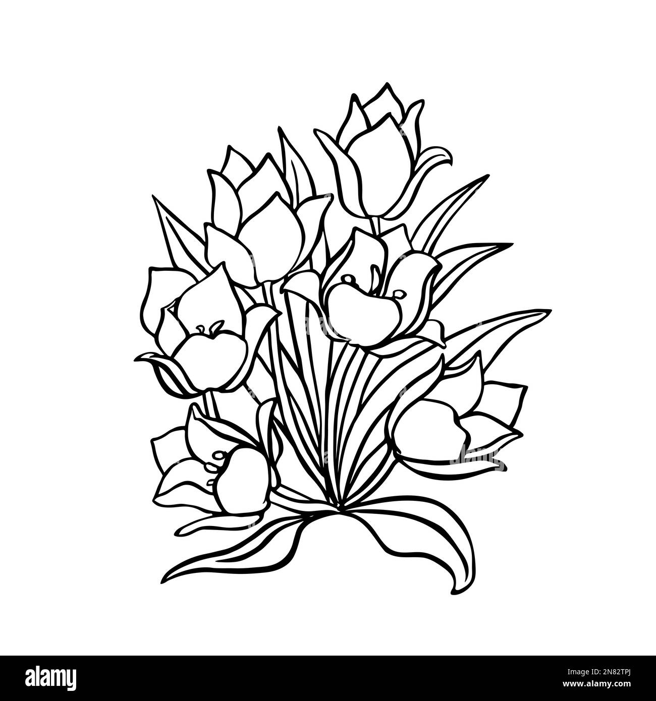 Tulip Bouquet Clip Art Black And White