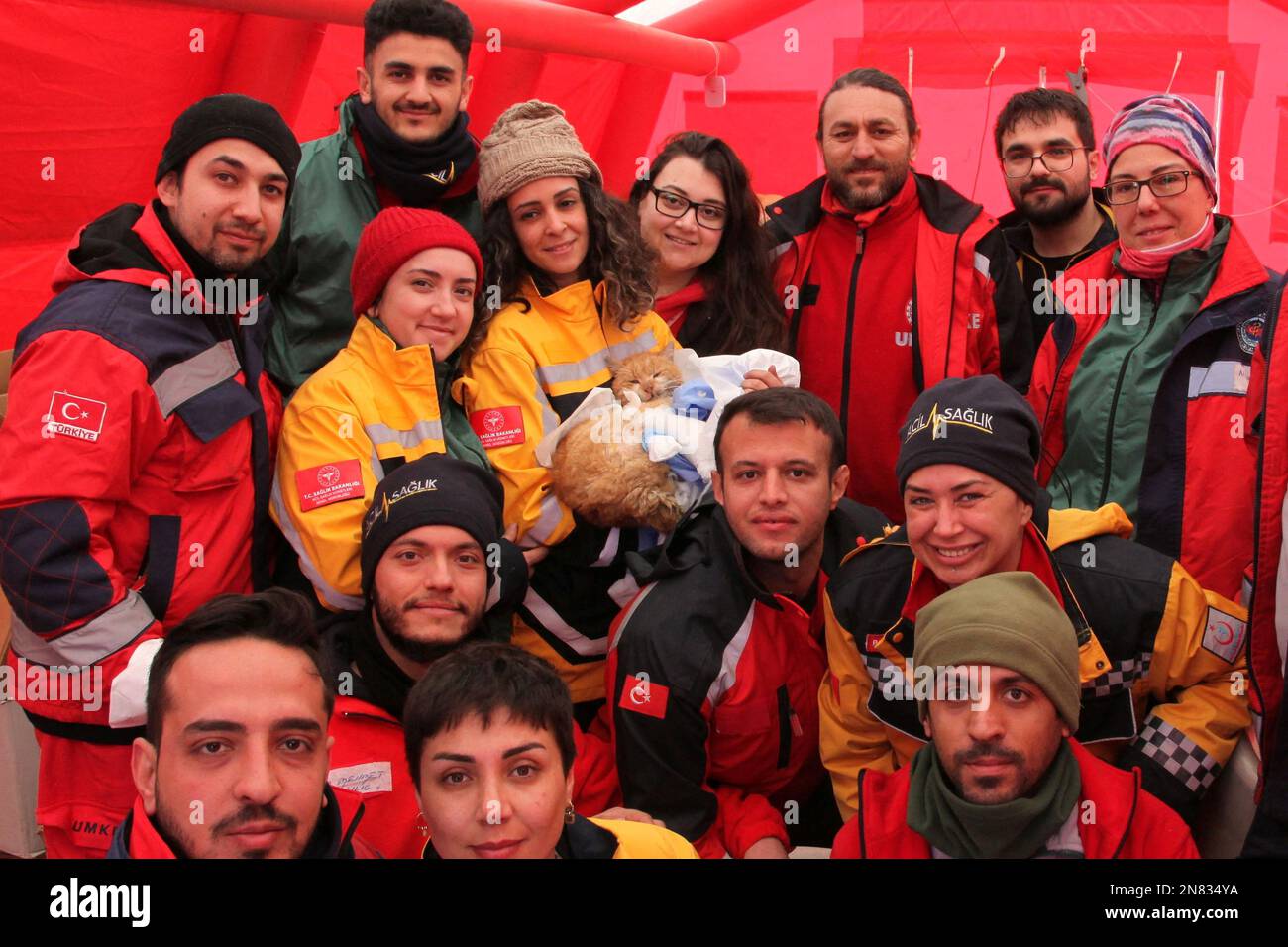 Earthquake turkey 2023 cat hi-res stock photography and images - Alamy