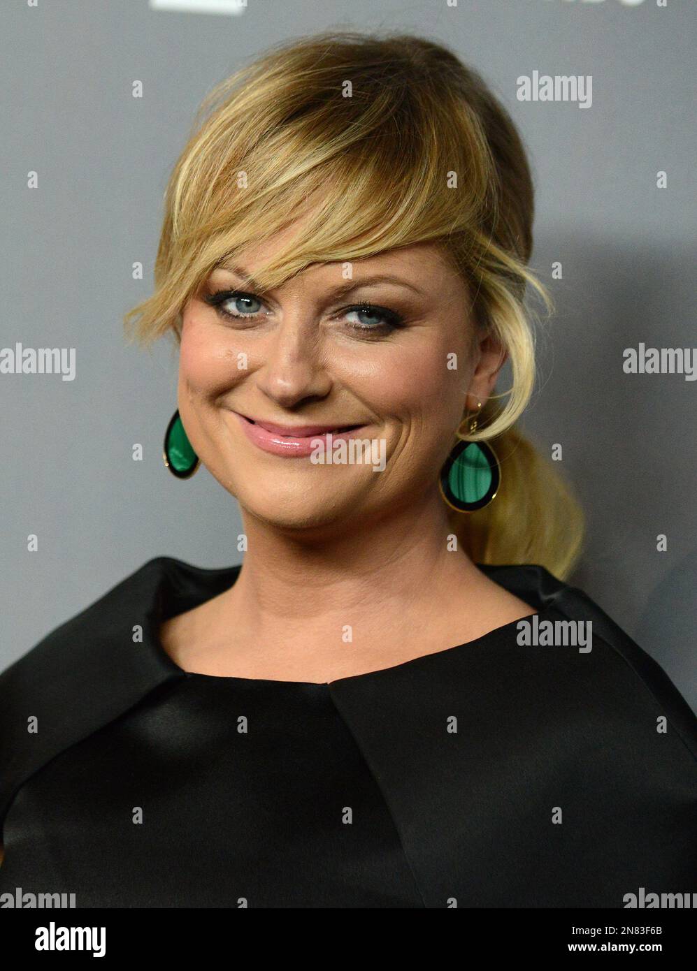 Amy Poehler arrives at the 15th Annual Costume Designers Guild Awards ...