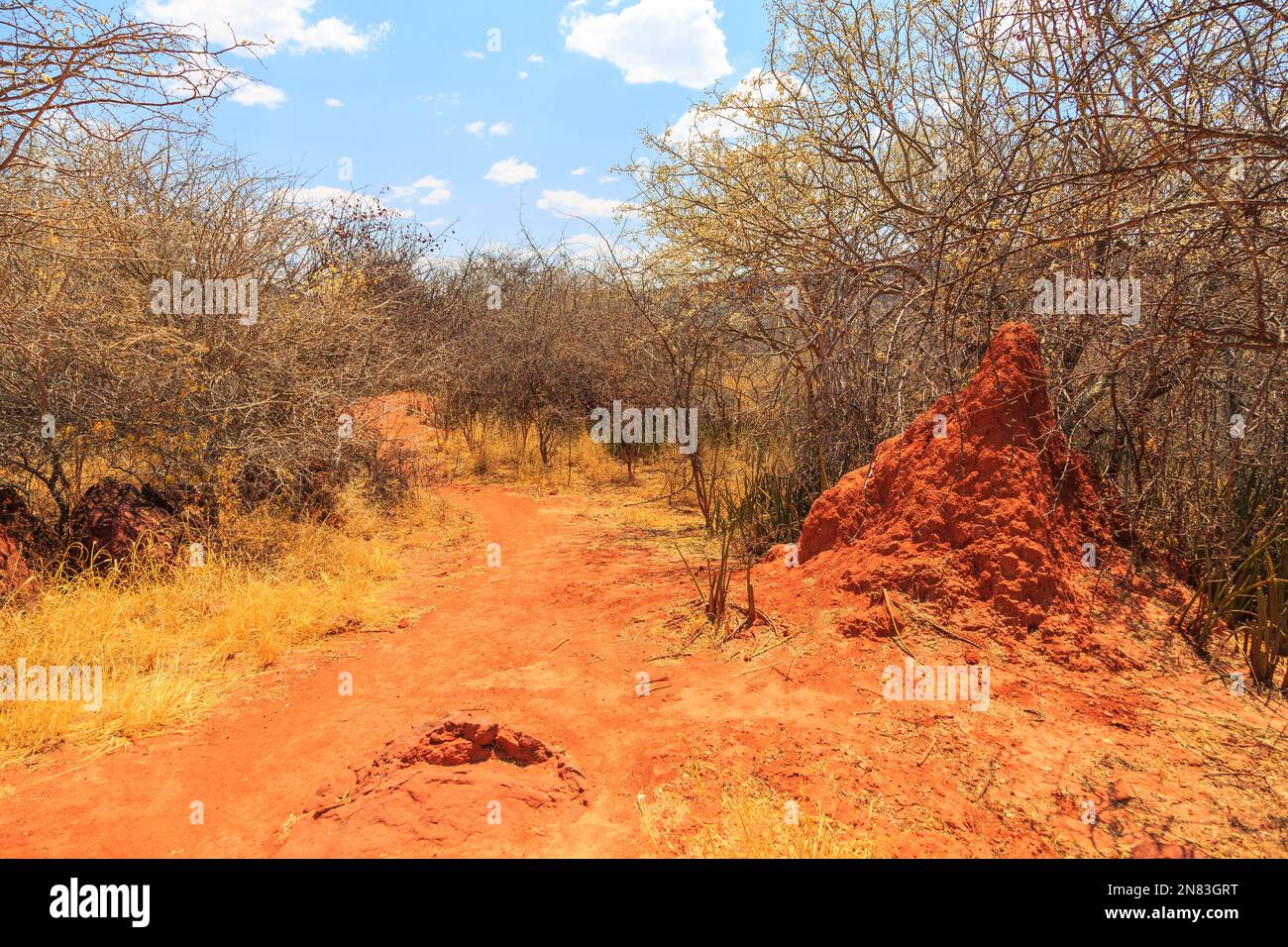View towards the Waterberg Plateau. Beautiful african landscape ...