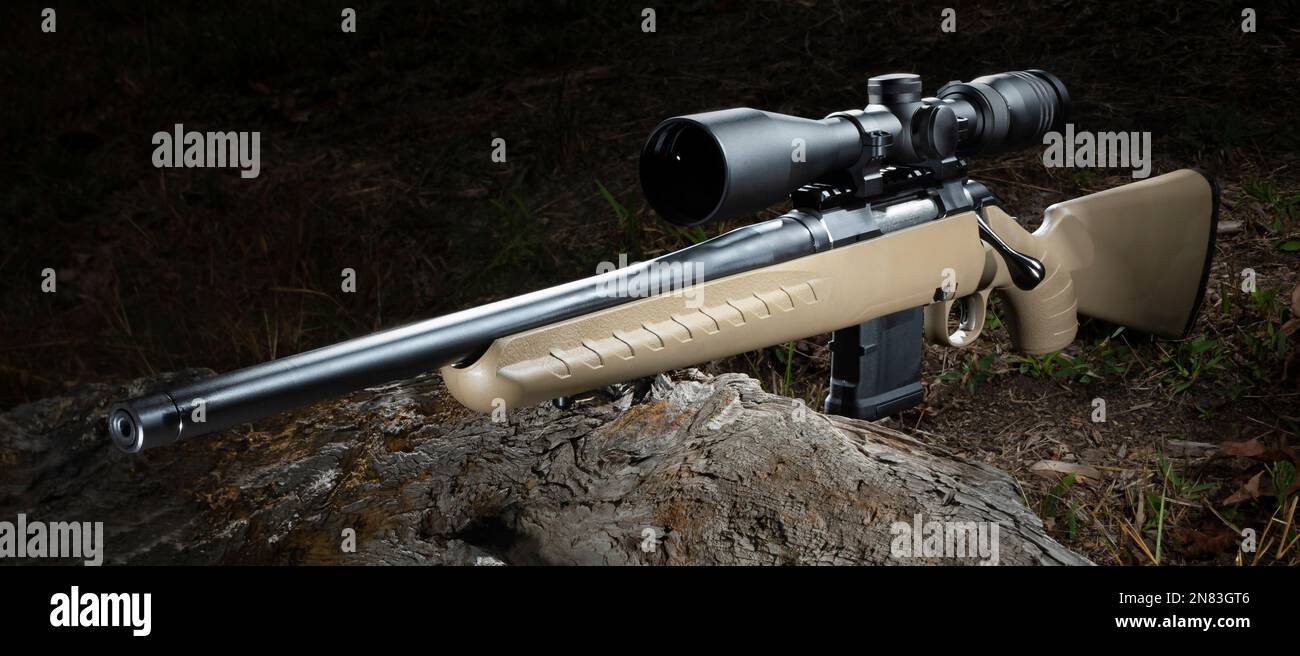 Beige 556 chambered bolt action rifle with a scope in the woods Stock ...