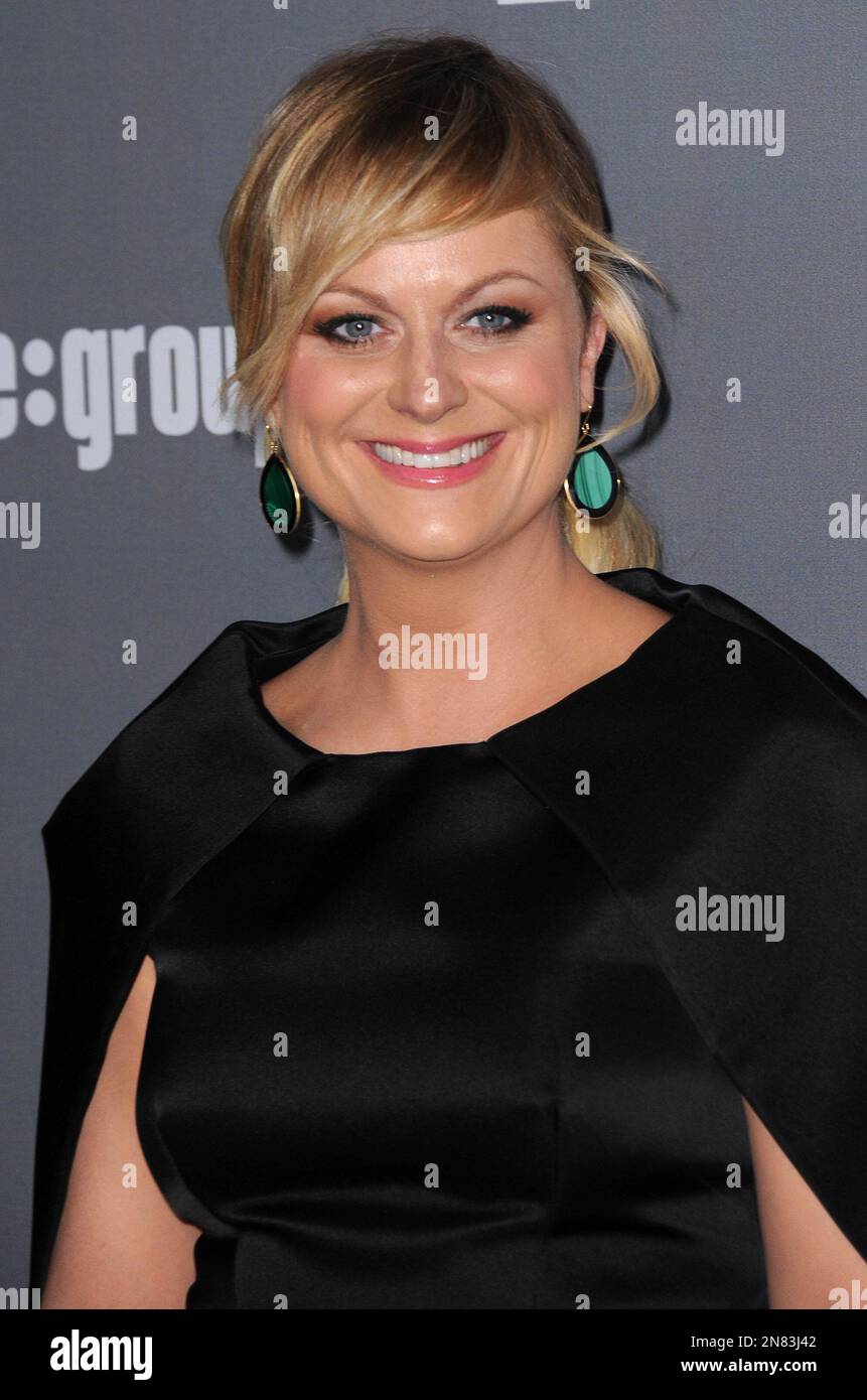 Amy Poehler arrives at the 15th Annual Costume Designers Guild Awards ...