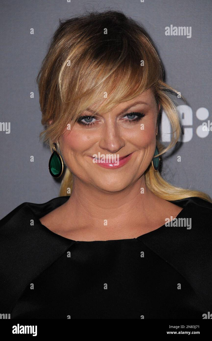 Amy Poehler arrives at the 15th Annual Costume Designers Guild Awards ...