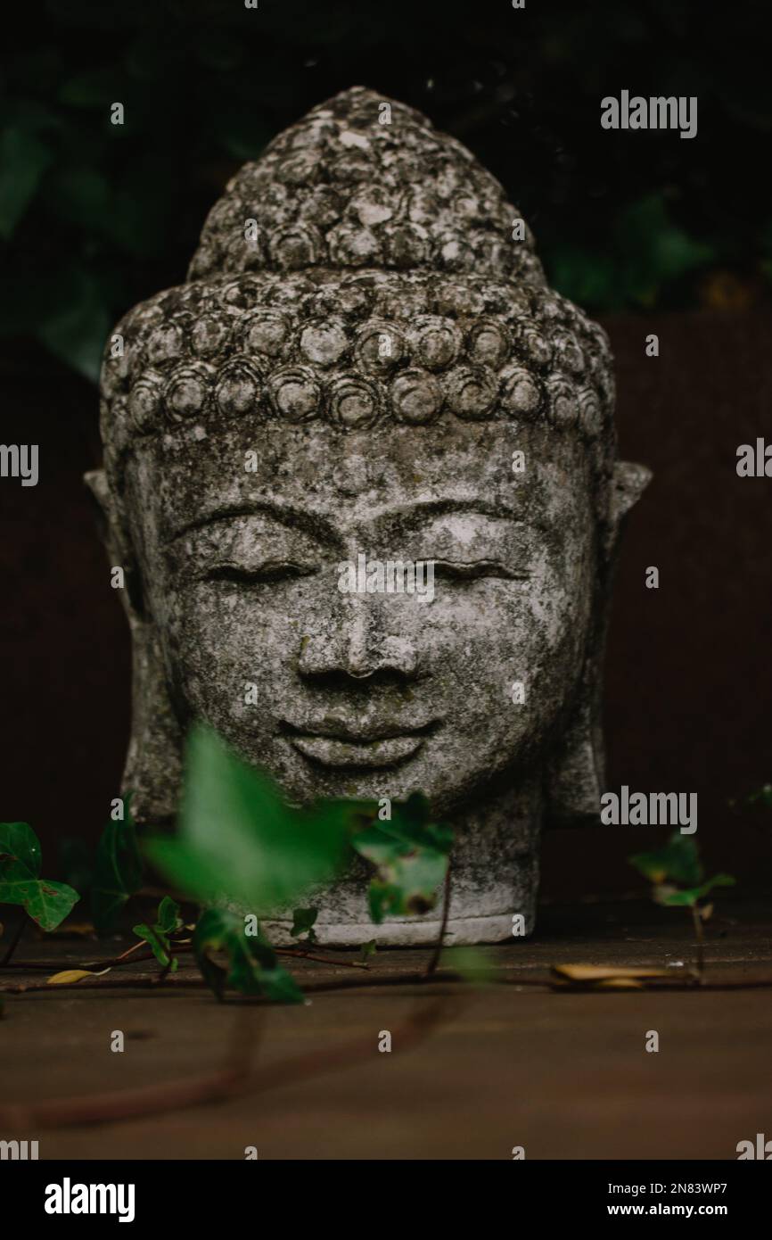 Grey stone statue head face of Buddha as symbol of harmony, Buddhism ...