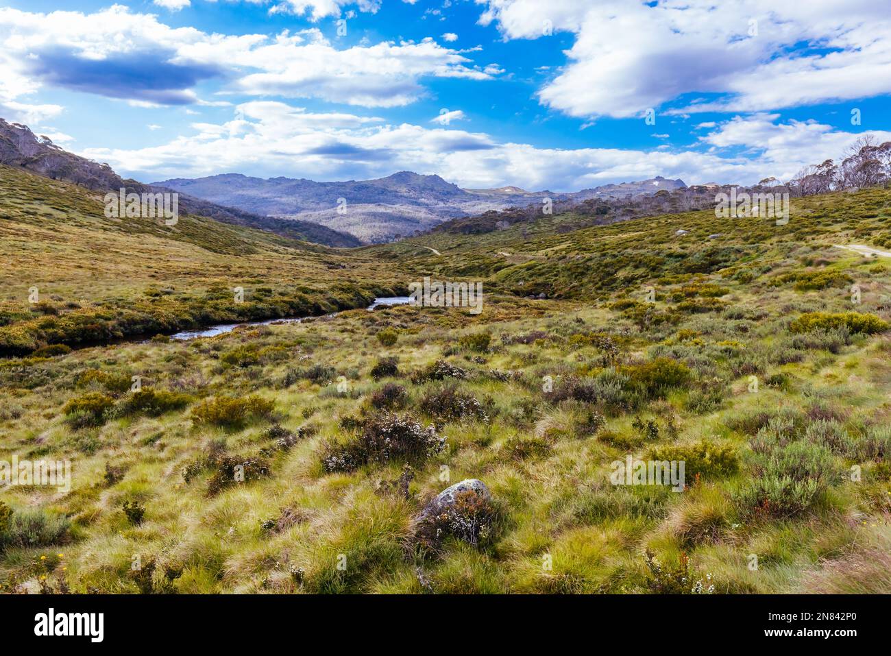 A landscape view in the late afternoon on the Cascade Hut Trail near ...