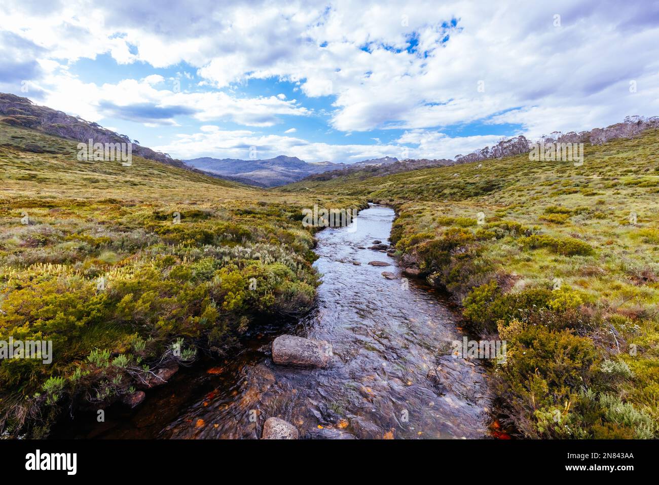 A landscape view in the late afternoon on the Cascade Hut Trail near ...