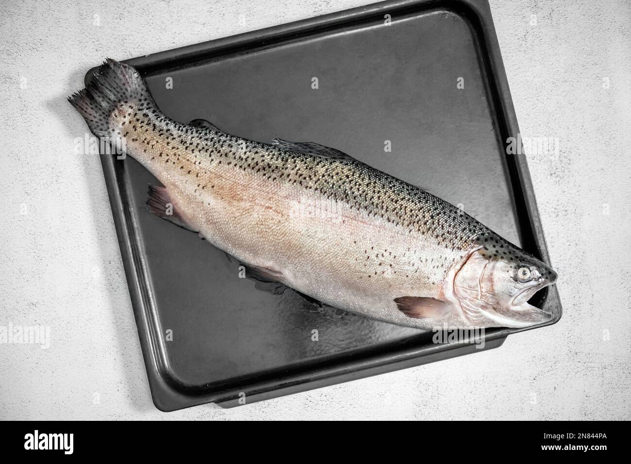Tray fish seafood profile hi-res stock photography and images - Alamy