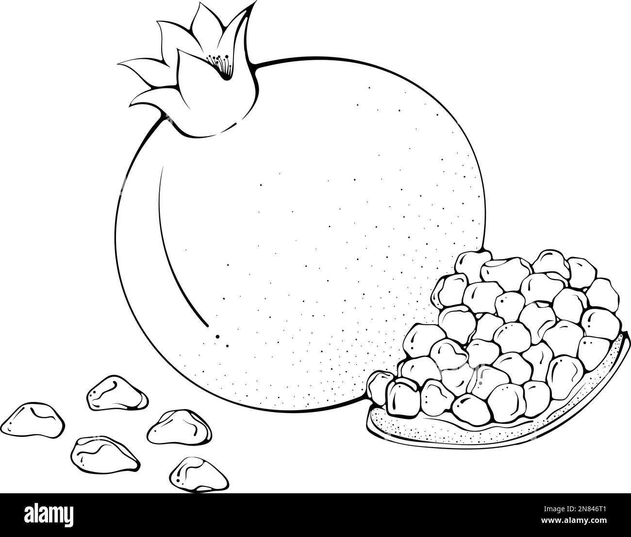 Whole and piece of peeled pomegranate line art Stock Vector Image & Art ...
