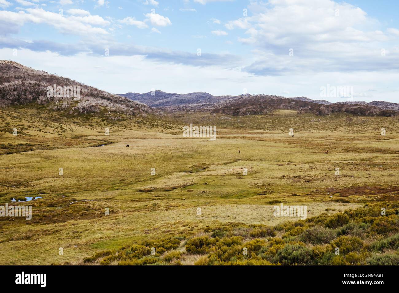 A landscape view in the late afternoon on the Cascade Hut Trail near ...