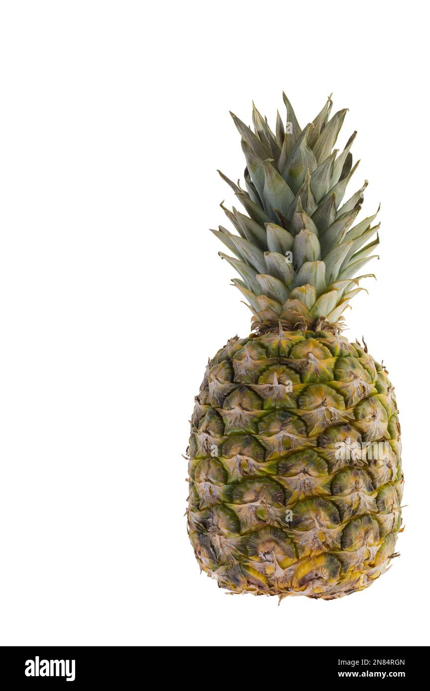 Close up view of ananas isolated on white background Stock Photo - Alamy