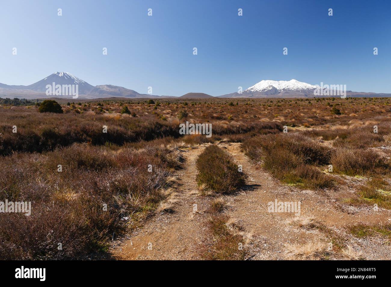 Landscape in Tongariro National Park, New Zealand Stock Photo - Alamy