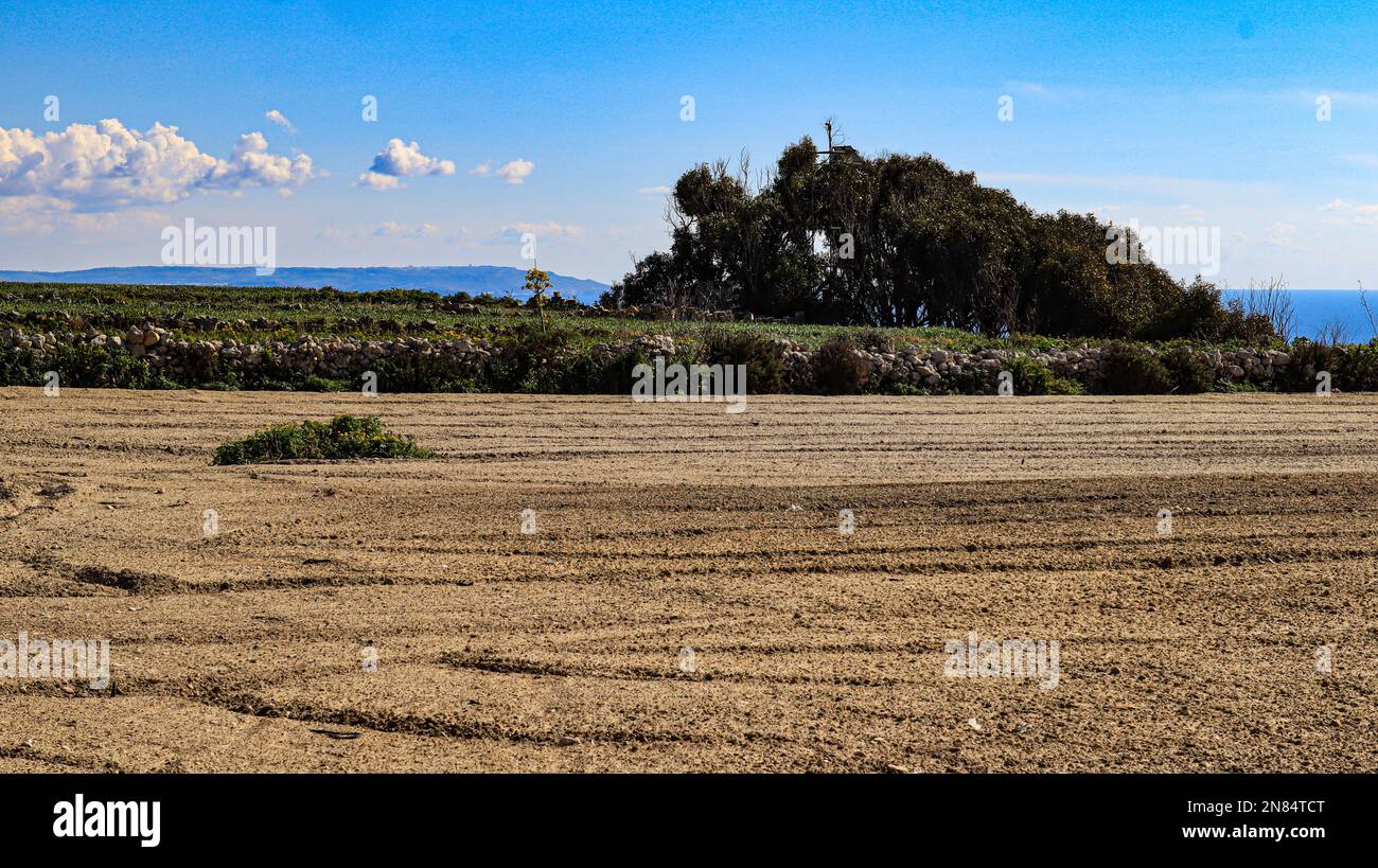 Fields and trees in the north of the Mediterranean island of Gozo in ...